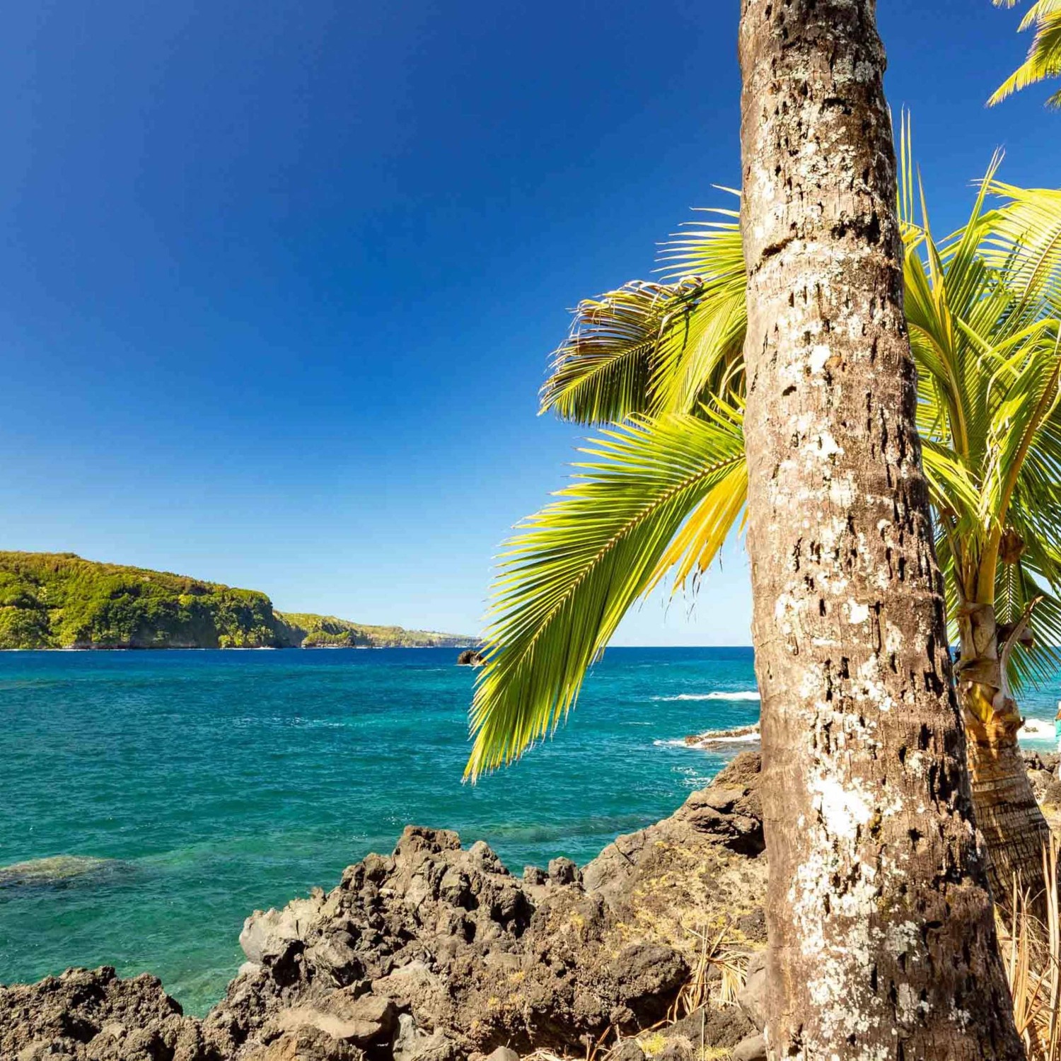 Maui’S Road To Hana Day Tour From Oahu – JCDAT
