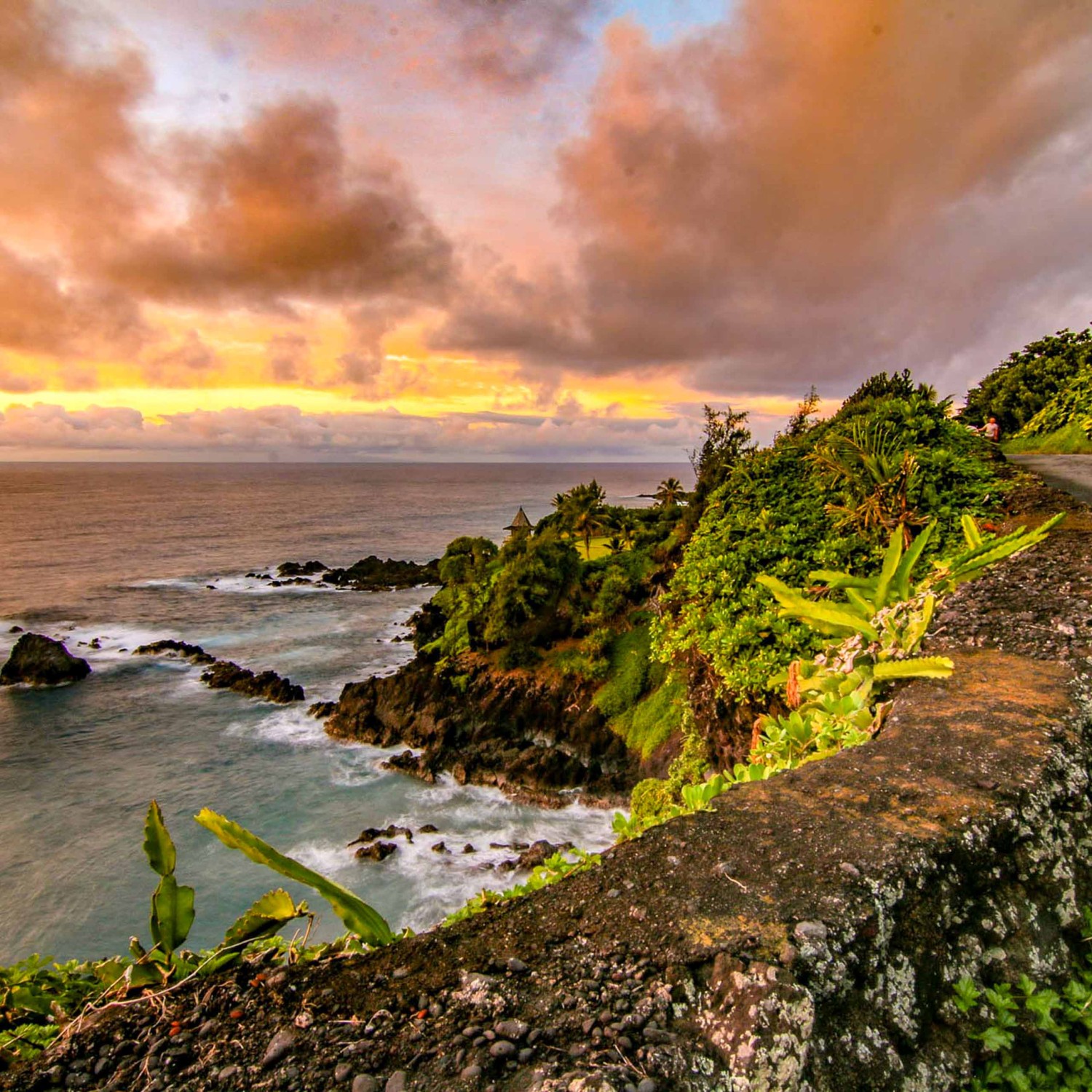 Skip The Hana Highway Tour | Maui Hawaii | Road To Hana Tours